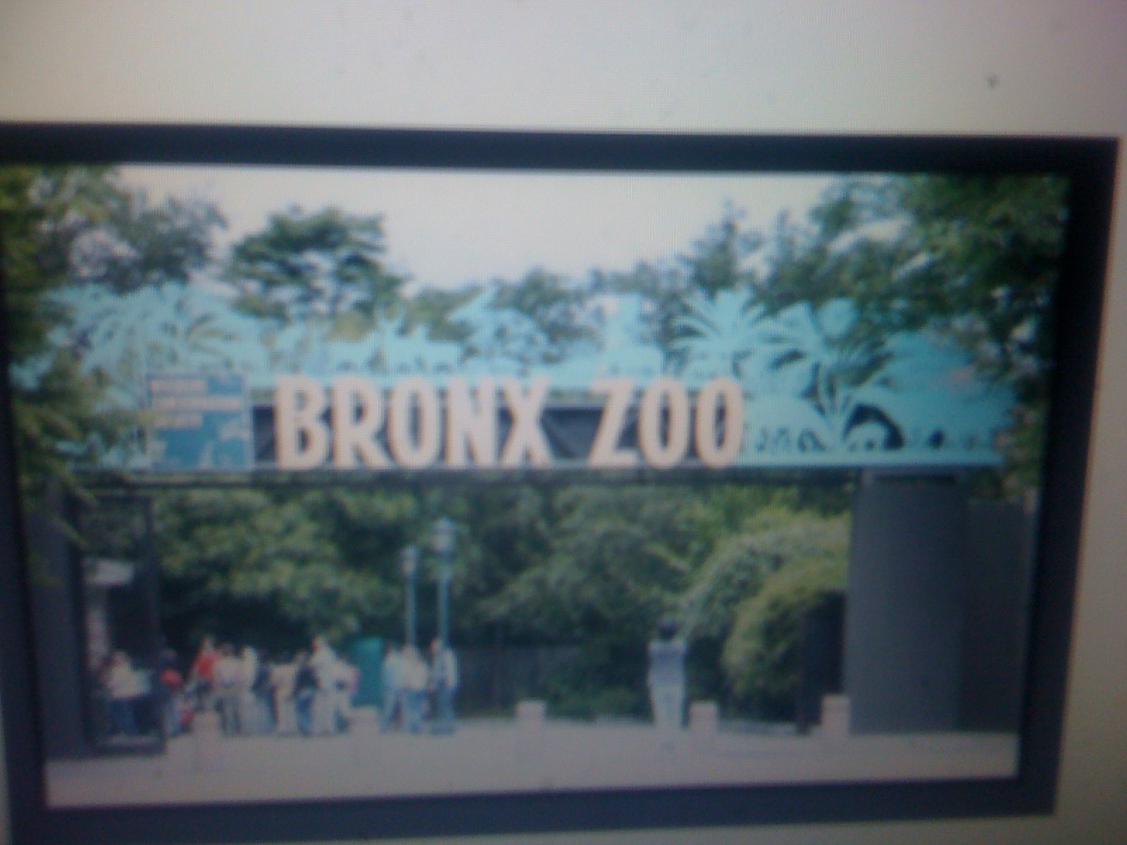 THE BLACK SOCIAL HISTORY:: BLACK SOCIAL HISTORY: OTA BENGA THE ...