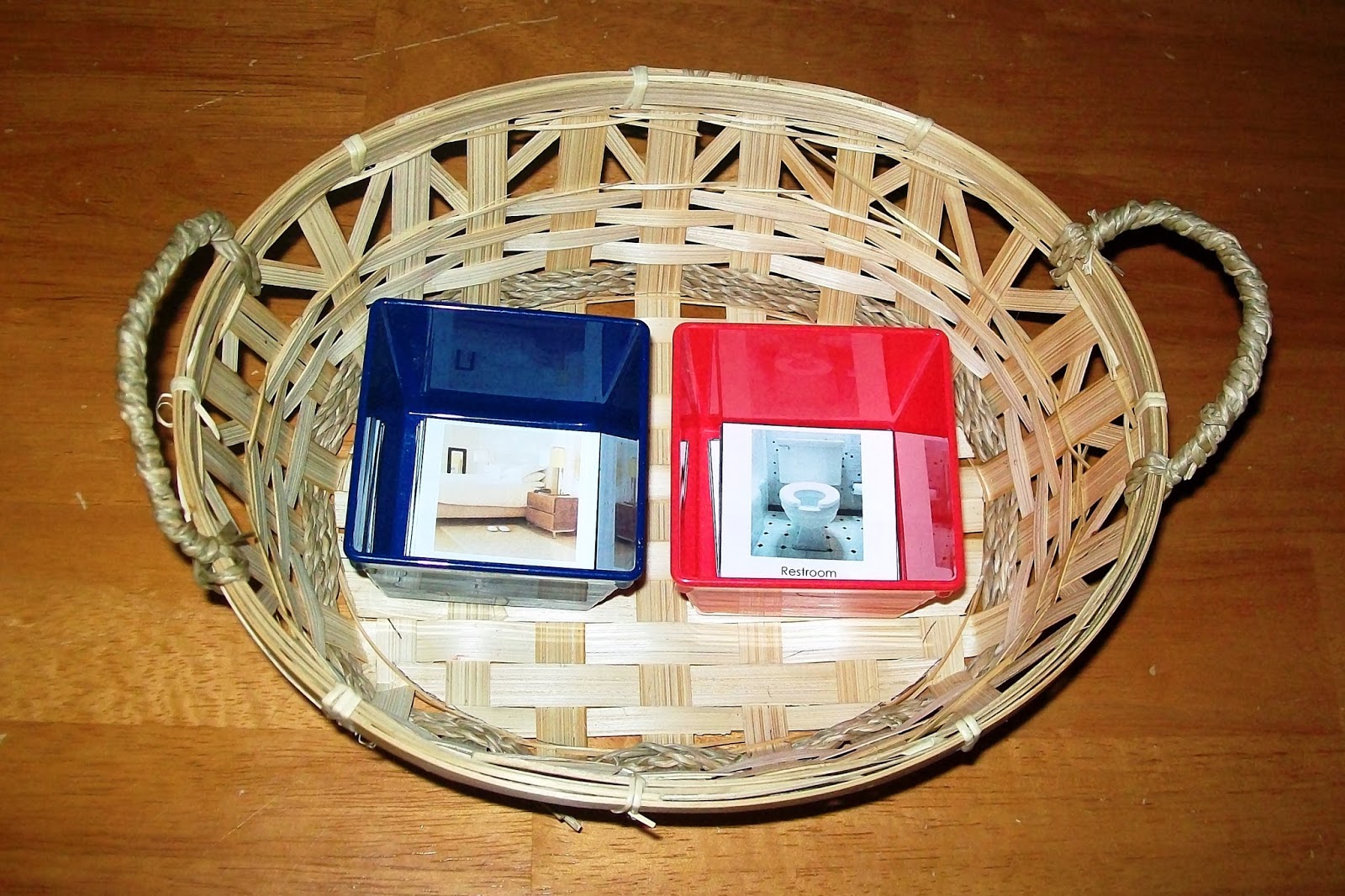 Black History Month Unit - Every Star Is Different