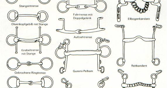 Reitsport.aktuell: Gebisslos oder mit Trense?
