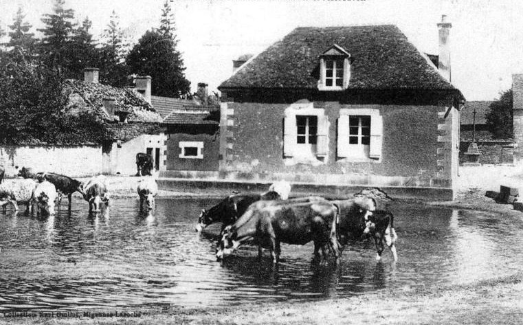 Martinou et Pirouly: Partie 7 LA NAISSANCE DE MARTINOU ET PIROULY