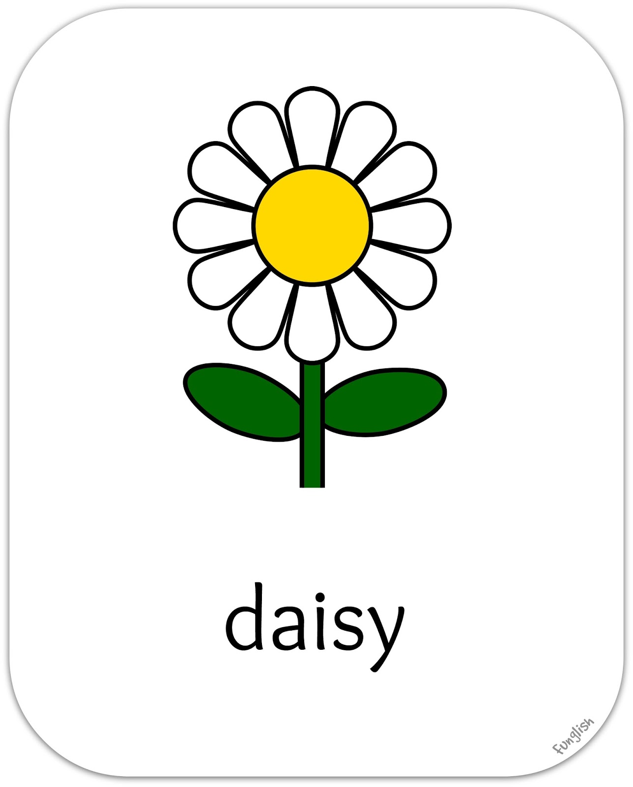 Spring Flashcards | Funglish