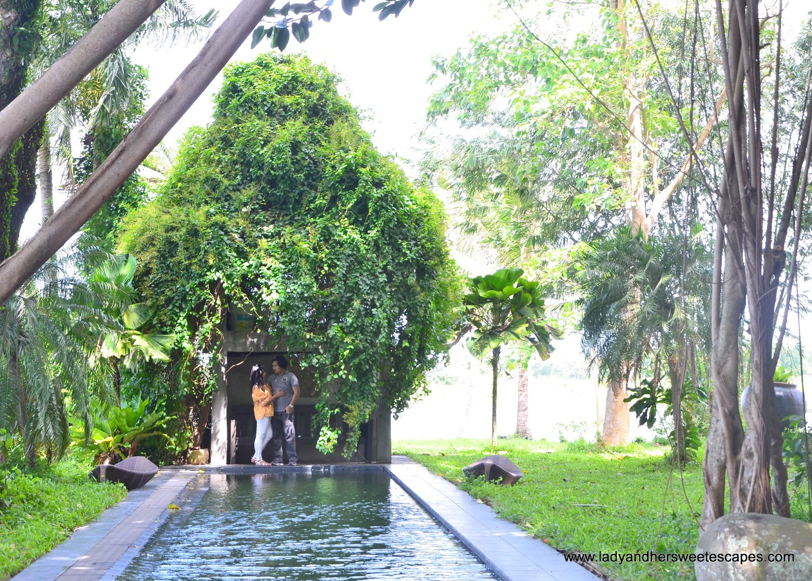 Lunch at Punong Gary's Place in Silay | Lady & her Sweet Escapes
