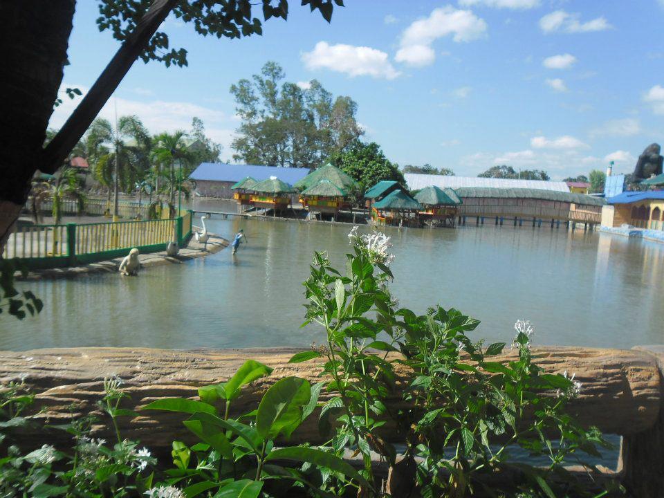 Lets Enjoy Philippines: Jed's Island Resort