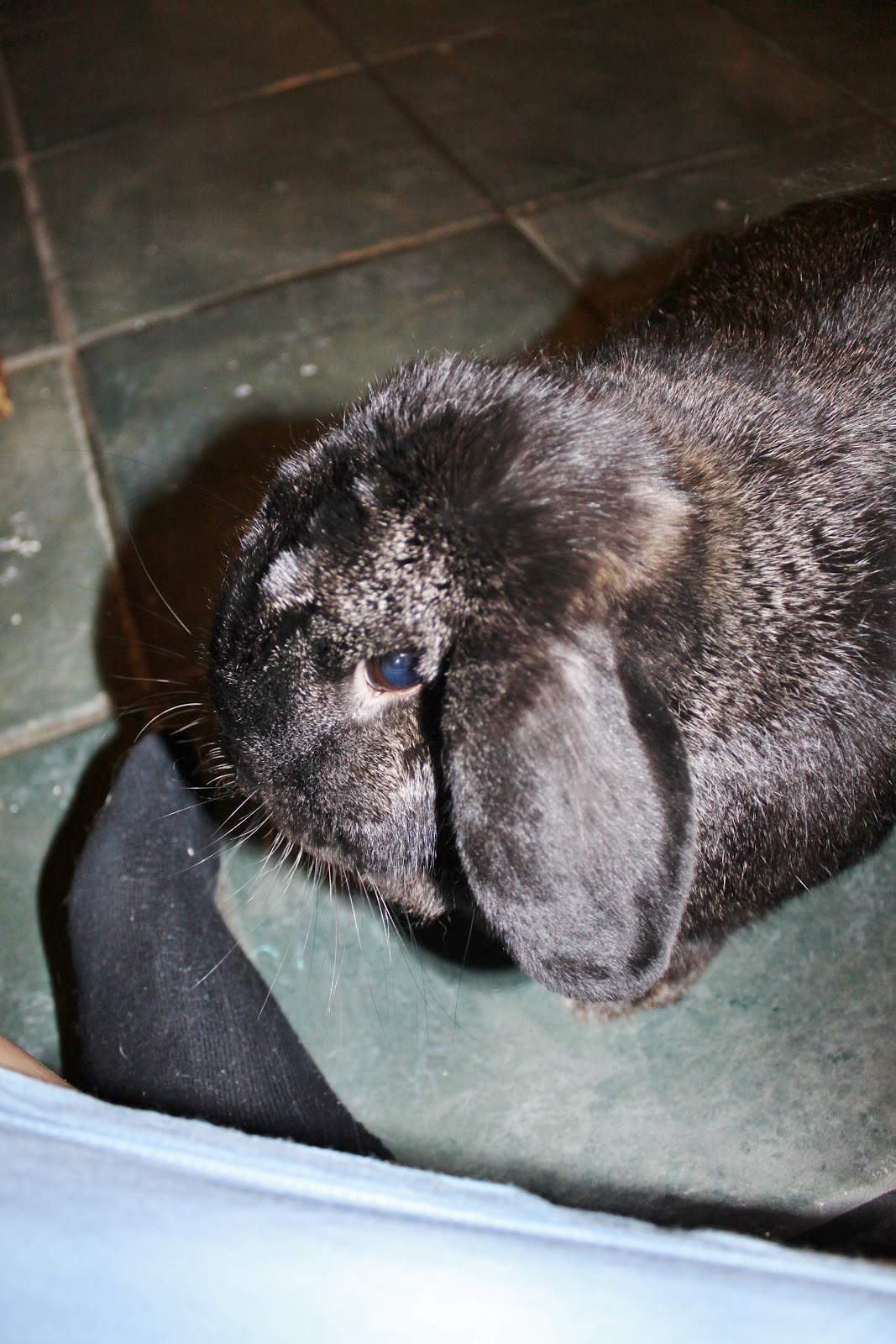 Hopefully Smashing: Colour Full