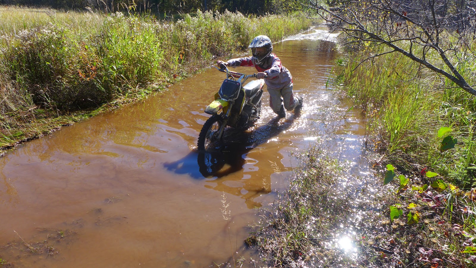 " FULL ON ": Prospector Loop