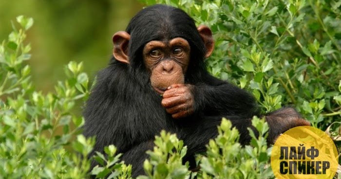 Танин мэдэхүй