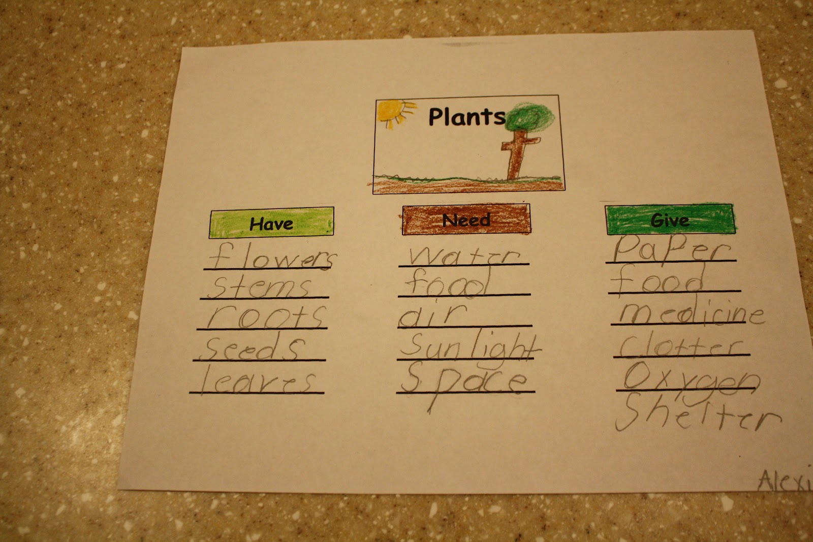 First Grade Days!: Away We Grow! Week 1