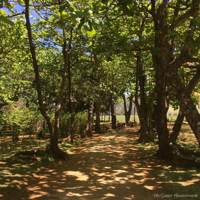 My Sweet Mauritius: DEJEUNER A FALAISE ROUGE