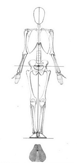 Foundation Figure: January 2012