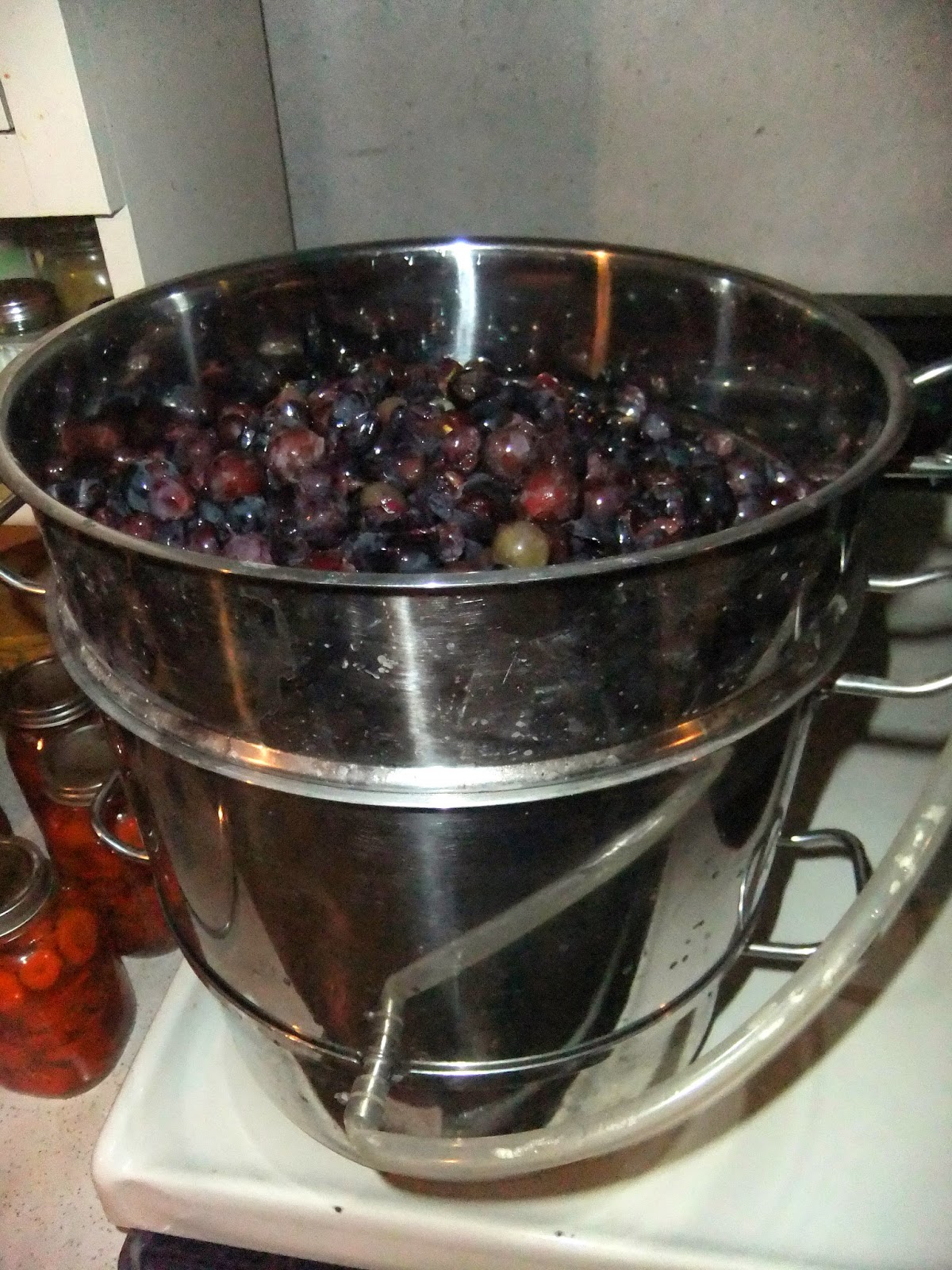 Pastoral Symphony Farm