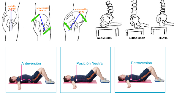 Sanación Venezuela: Articulos Vida Fit
