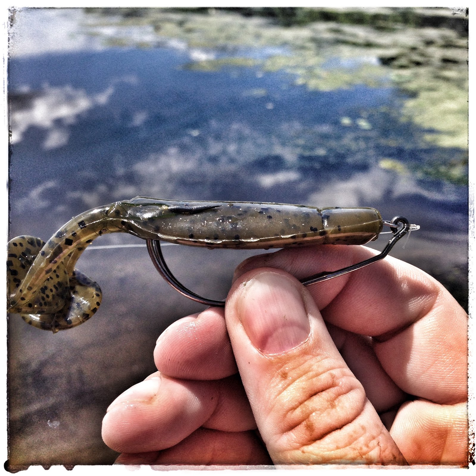 Bass Junkies Frog Pond: Luck-E-Strike Frantic Frog Review