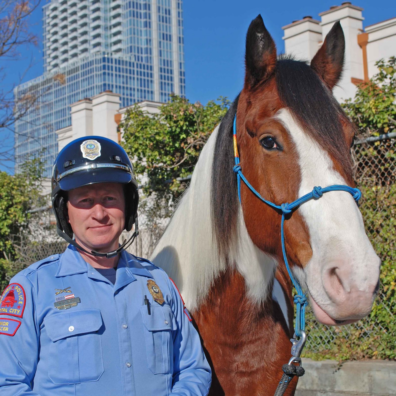 Raleigh Police Department: RPD Welcomes New Police Horse