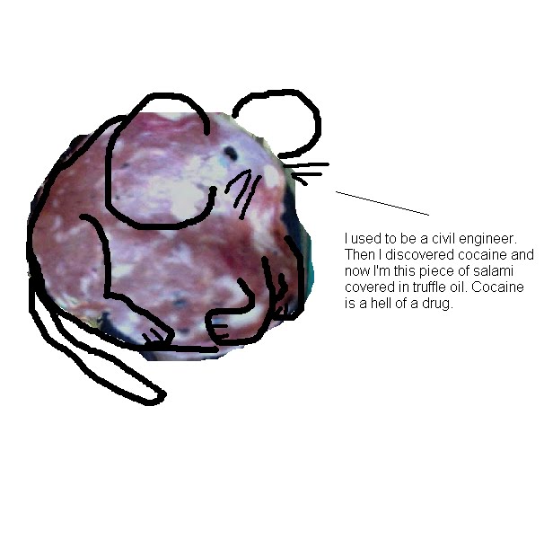 twenty-something insomniac: 2011