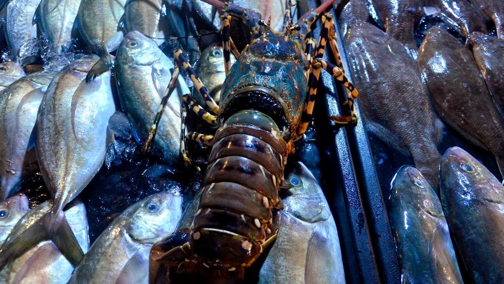 Blog Makanan di Sabah: Makanan Terkenal Di Sabah | Rendang Ikan Yu Atau ...