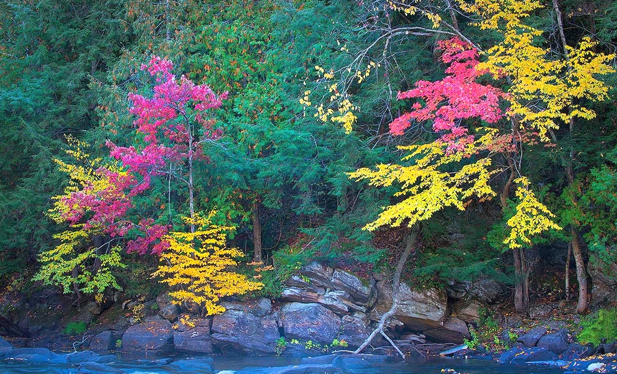 Colours of The Nature 1 - Τα χρώματα της Φύσης (50 Photos) - 1001Places