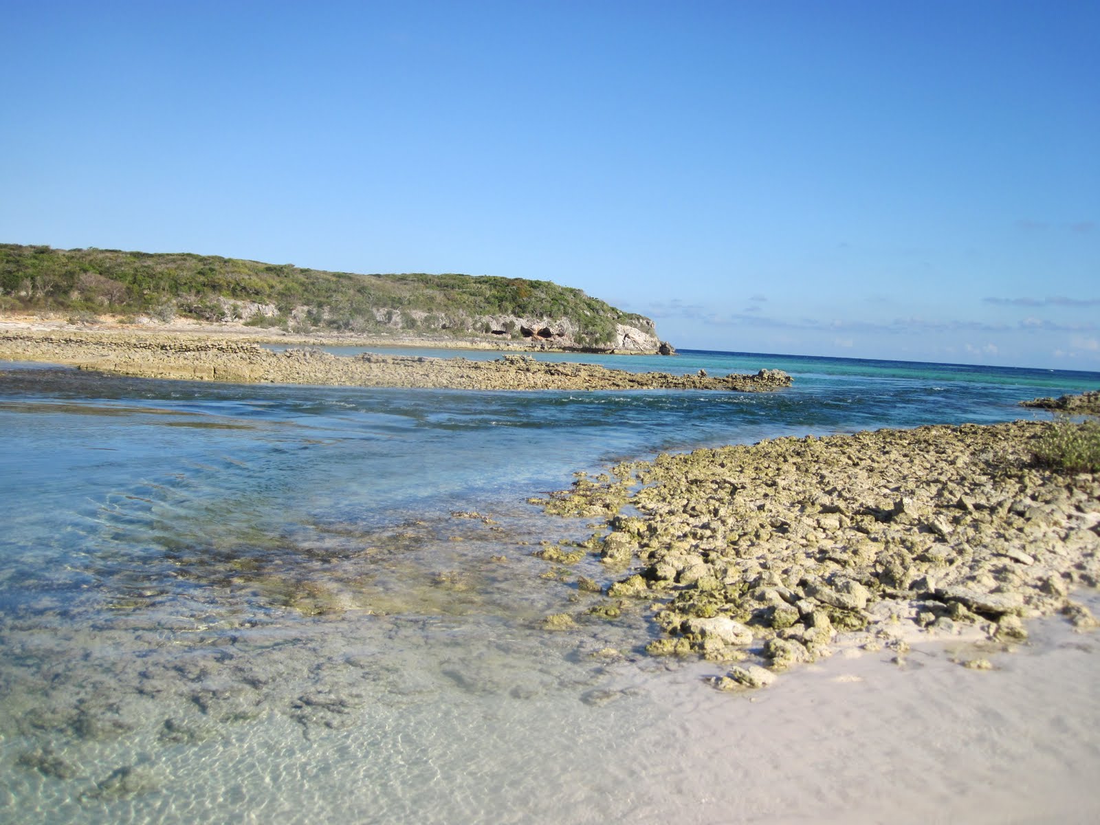 Adventures of the Yacht White Pepper: Rum Cay