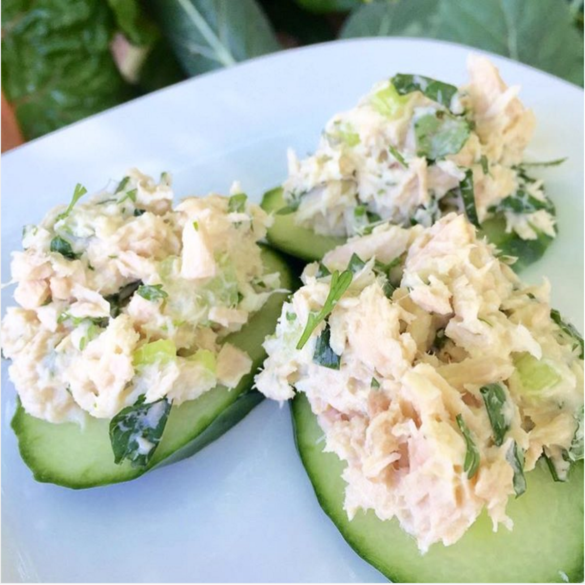 Fitness For The Rest of Us: Safe Catch Tuna: Lowest Mercury Tuna on the ...