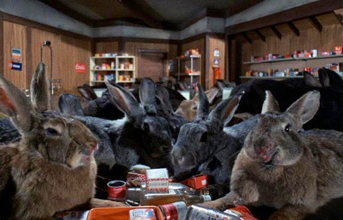 31 Days, 31 Horror Movies – Night of the Lepus/Day of the Animals – Bob ...