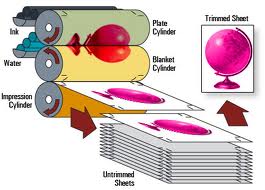 Luciana Ramos Mejia: Offset