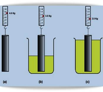 DISPLACER LEVEL GAUGE | SCIENCE PARK