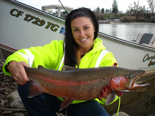 Northern California Bass Fishing | California Striped Bass