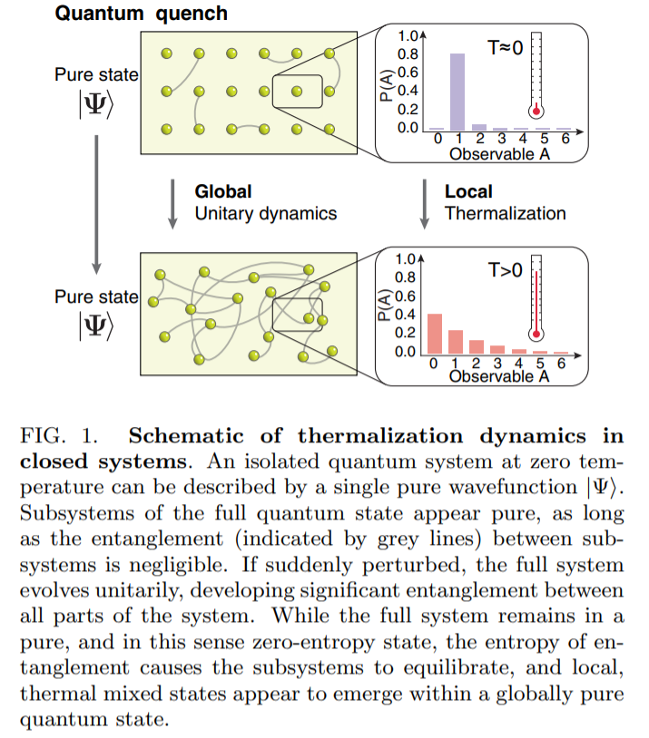Information Processing: Pure State Quantum Thermalization: from von ...