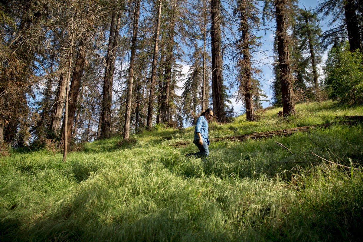 The Adventures of Ana : 112/365 - "Green Day" featuring Haylie Calvert