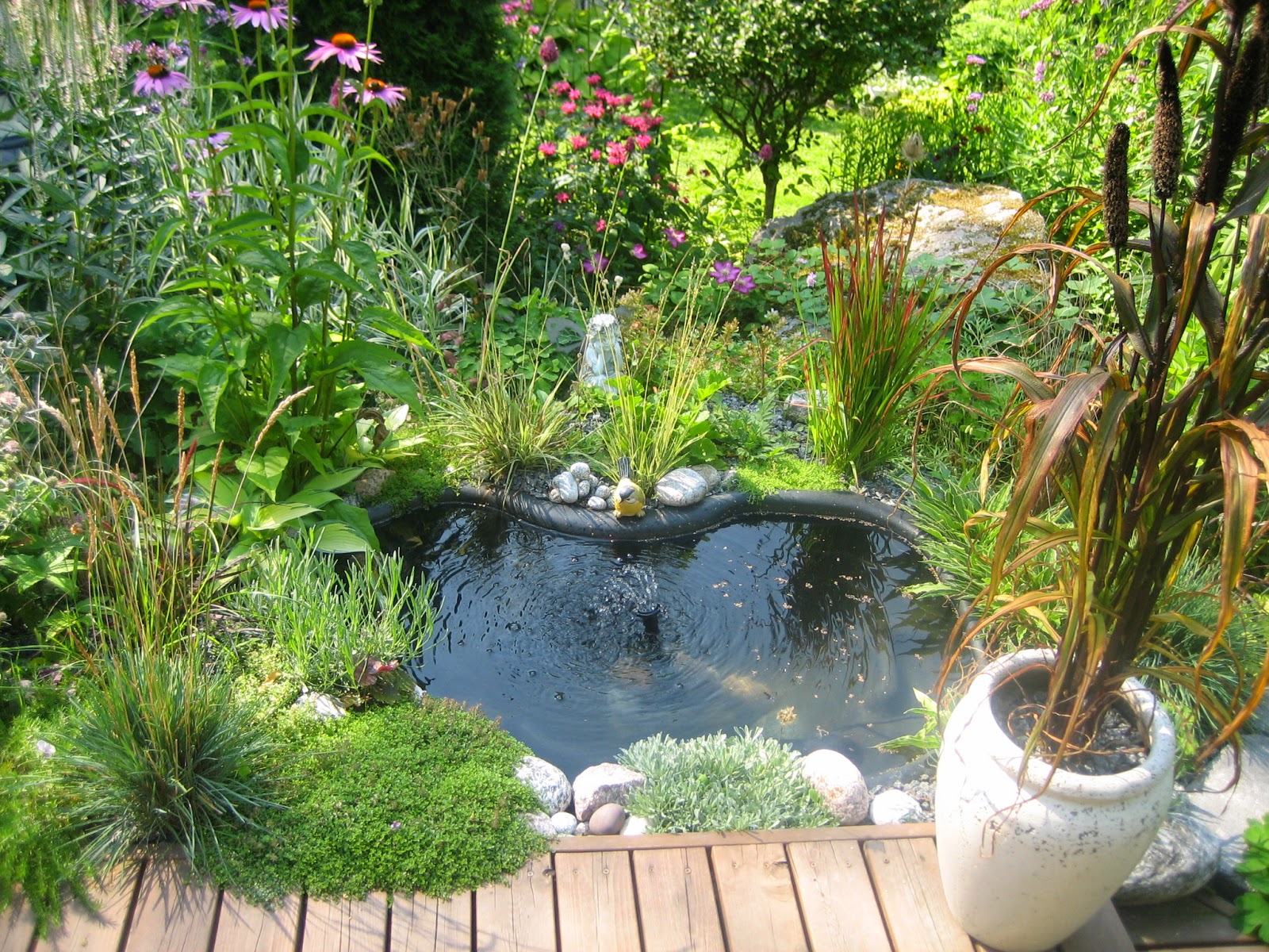 Pienen pihan suuria unelmia: Heinien hurmaa!