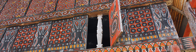 'ZIEN EN WETEN': TORAJA. (Deel 1.)