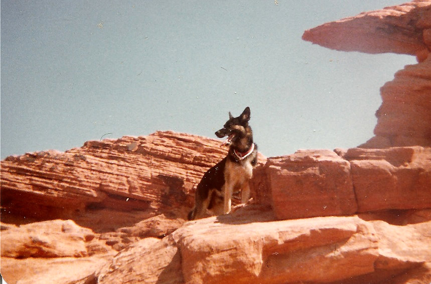 Stumpy Wanders: Monday Memories: Demian (1971 - 1984)