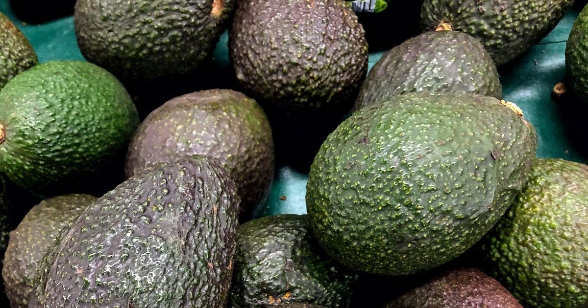 Walking Arizona: Avocados