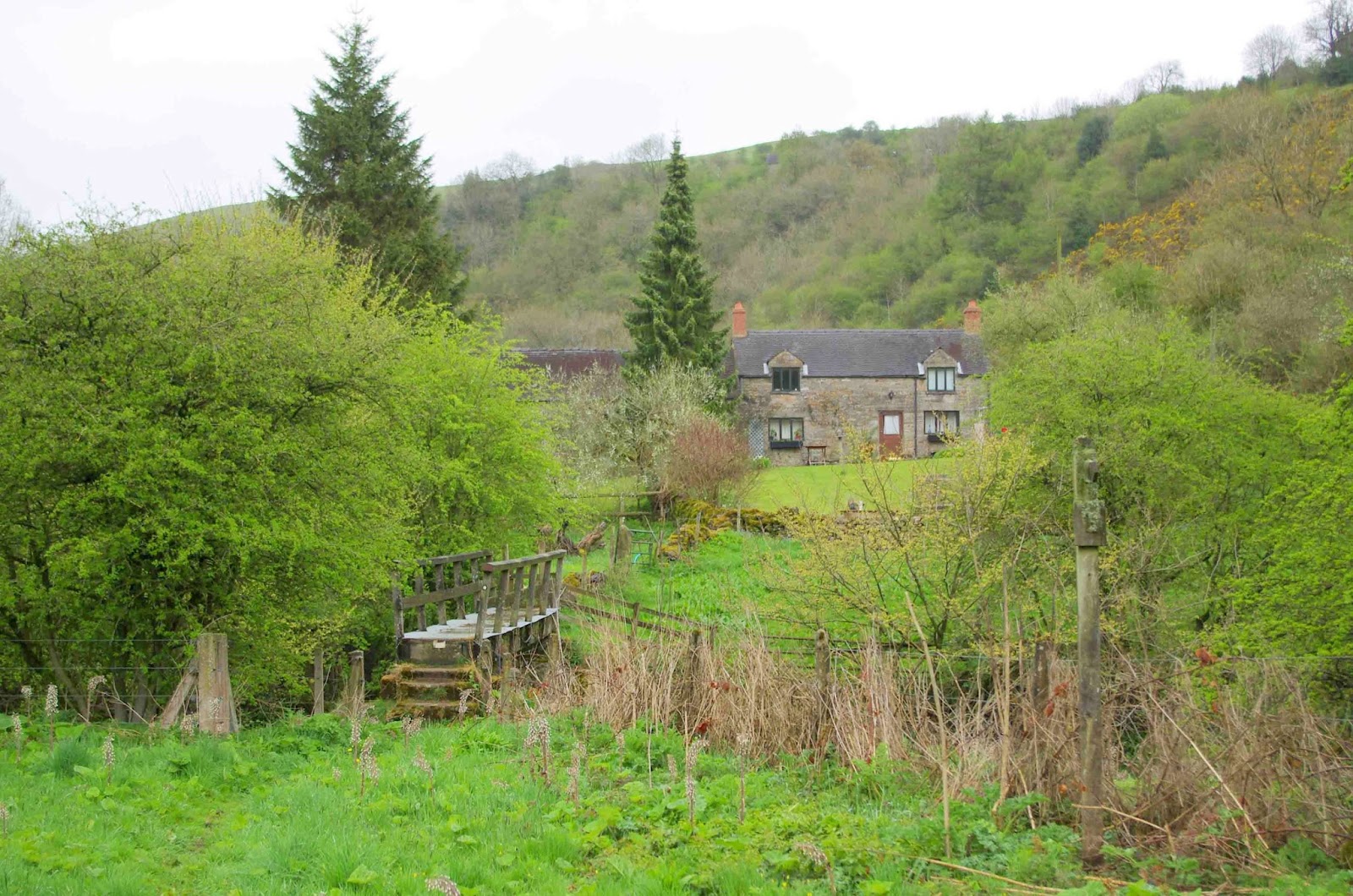 Out & About: Manifold Light Railway Track in the Hamps Valley.
