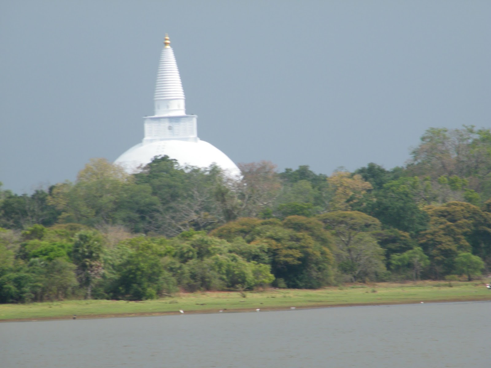 ANURADHAPURA KINGDOM