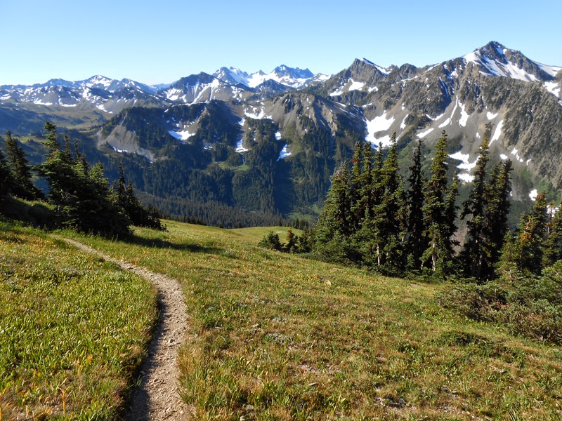 Val-Di-Ree: Obstruction Point to Dosewallips River, July 23-26, 2013
