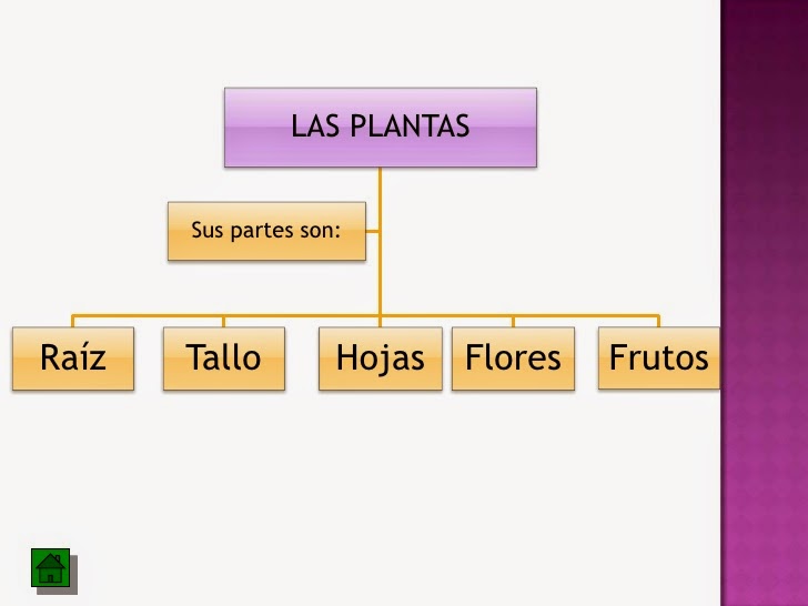 aprendiendo sobre las plantas: LAS PLANTAS