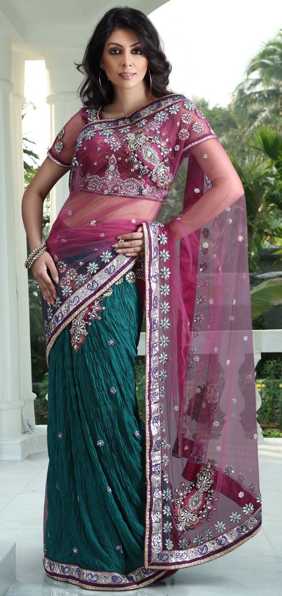 Latest Indian Collection: Choli Saree In Net Fabric For Sensuous Looks