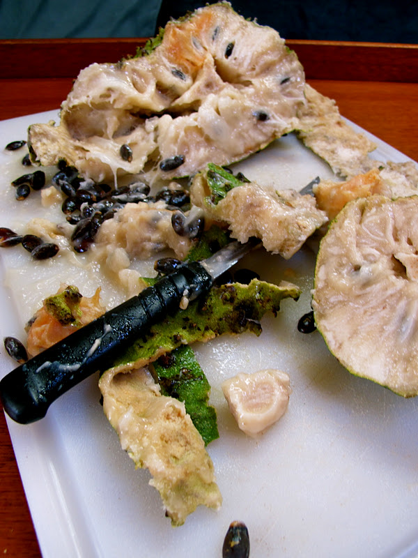 Windtraveler: Soursop Shmoursop