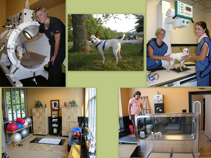 Animals Can Talk To Us If Only We Listen: CAUTION PROMERIS FLEA & TICK ...