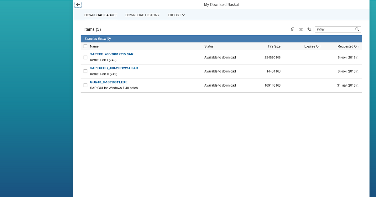 sidadm: SAP Download Manager 2.1.143