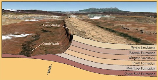 In the Company of Plants and Rocks: bold or striking would at first ...