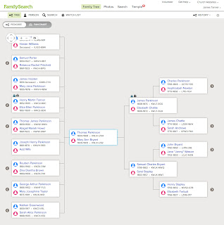 Genealogy's Star: How do the online family tree programs compare?