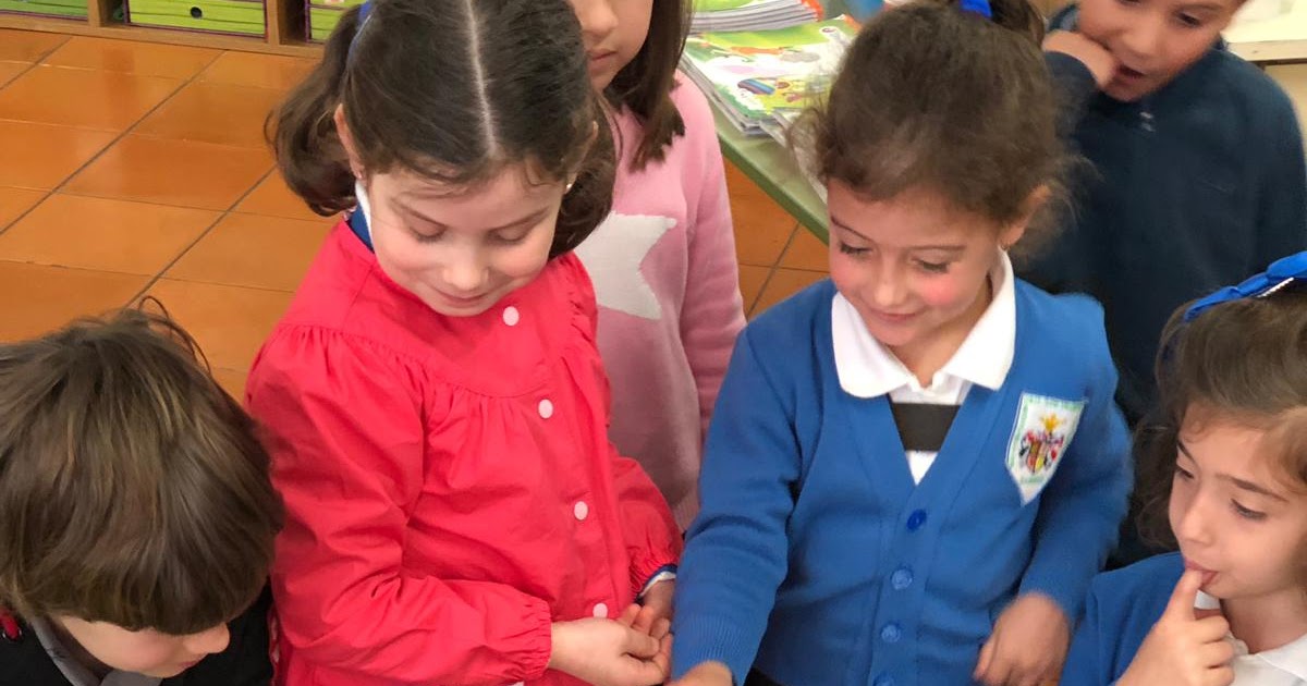 Nuestro Cole "Luis Chamizo": SEGUIMOS APRENDIENDO...