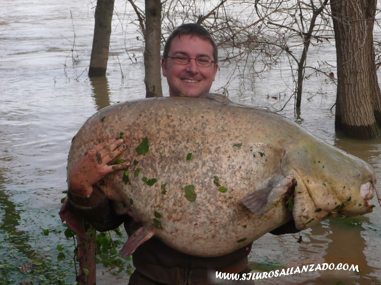 PESCA CON GUÍA DEL SILURO AL LANZADO Y PELLETS EN MEQUINENZA Y RÍO EBRO ...