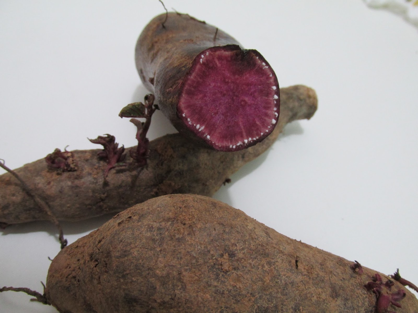 .: Batatas Doces Coloridas e suas Folhas