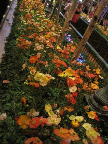 :: Waste Not Do Want: Sunday Selections = Las Vegas = Spring at ...