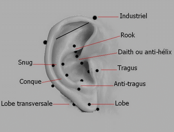 The Beauty Of Women: -LES PERCING-