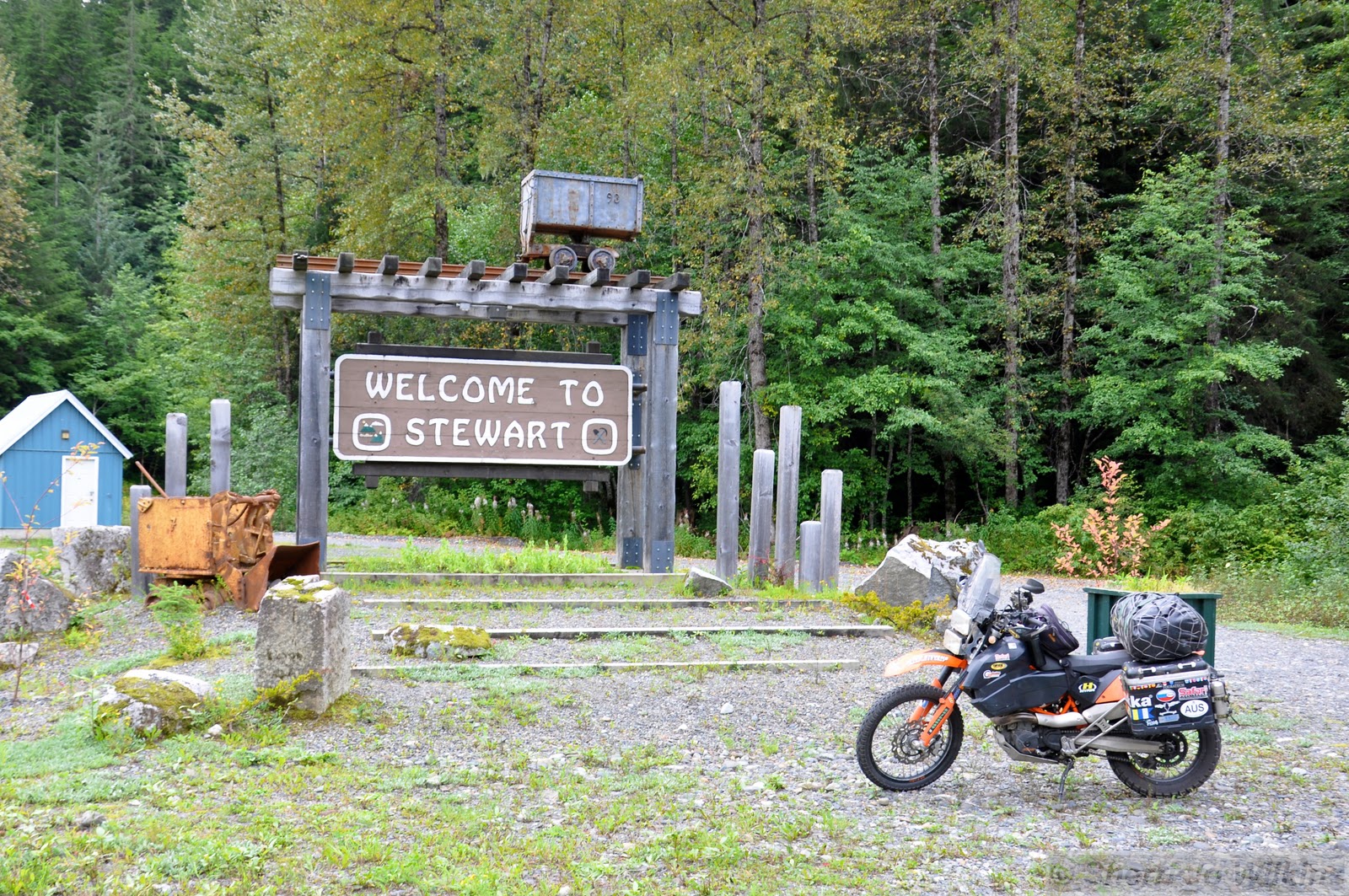 Sherri Jo's Because I Can World Tour: Bears, Hyder Alaska, Stewart BC ...