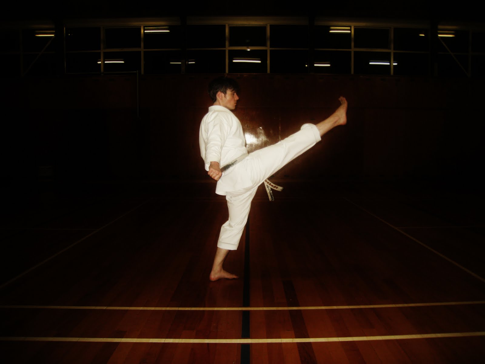 André Bertel's Karate-Do: My Current Training Regime
