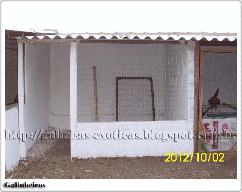 Chácara Sagrada Família - Criação De Galinhas: Galinheiros...